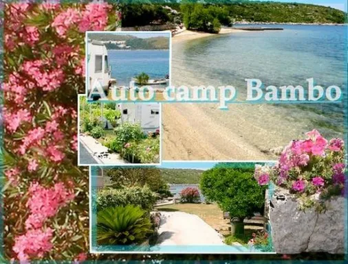 Auto kamp Bambo - CamplinQ