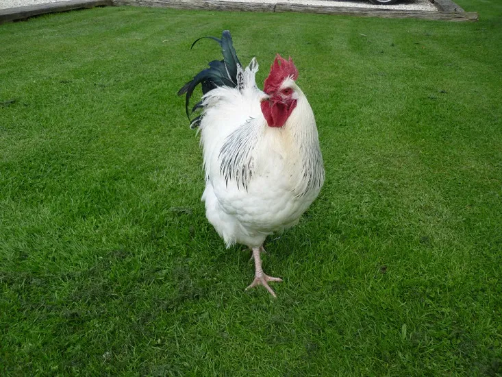 Barmston Farm Holiday Park - CamplinQ