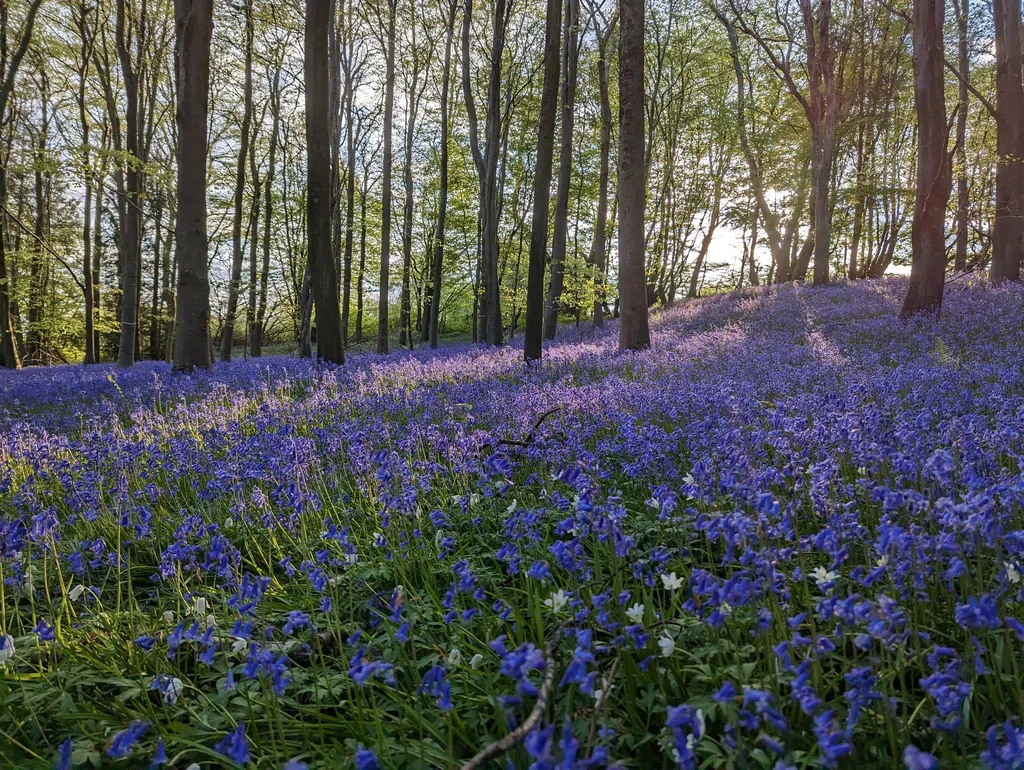 Brackendale Farm - CamplinQ