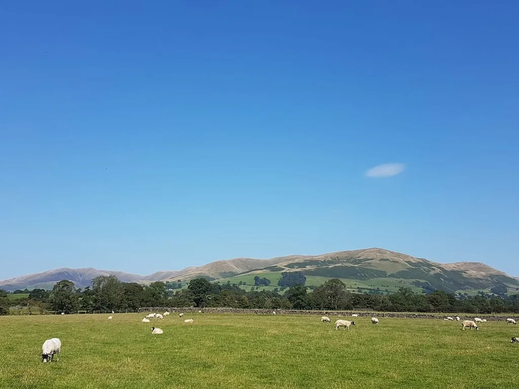 Holme Open Farm - CamplinQ