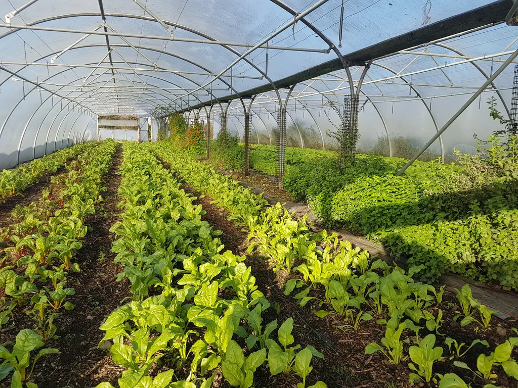 Tyddyn Teg Campsite - CamplinQ