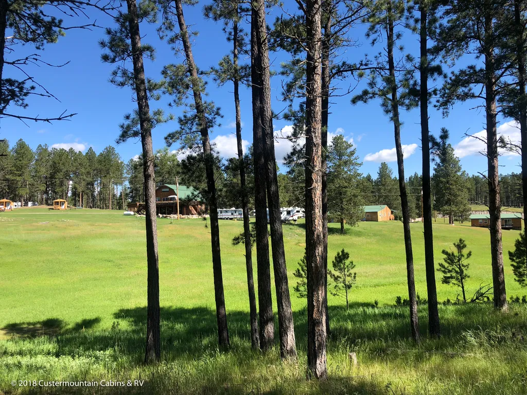 Custer Mountain Cabins and Campground - CamplinQ