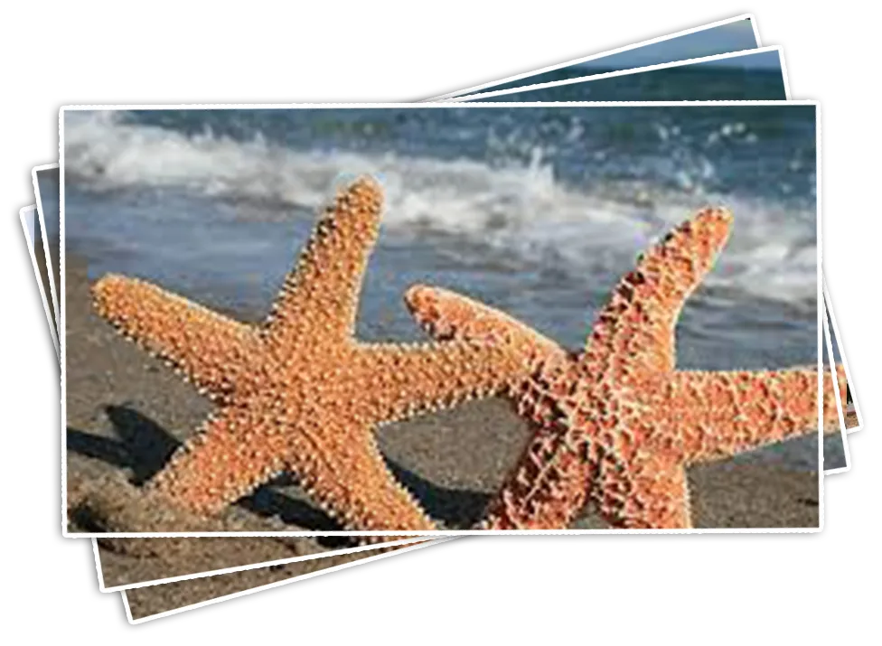 Mustang Hollow Campground - CamplinQ