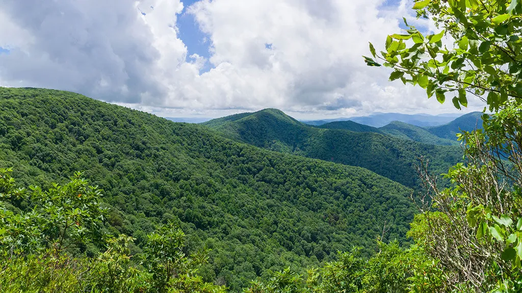 Spaulding Mountain Lean-to — Appalachian National Scenic Trail - CamplinQ