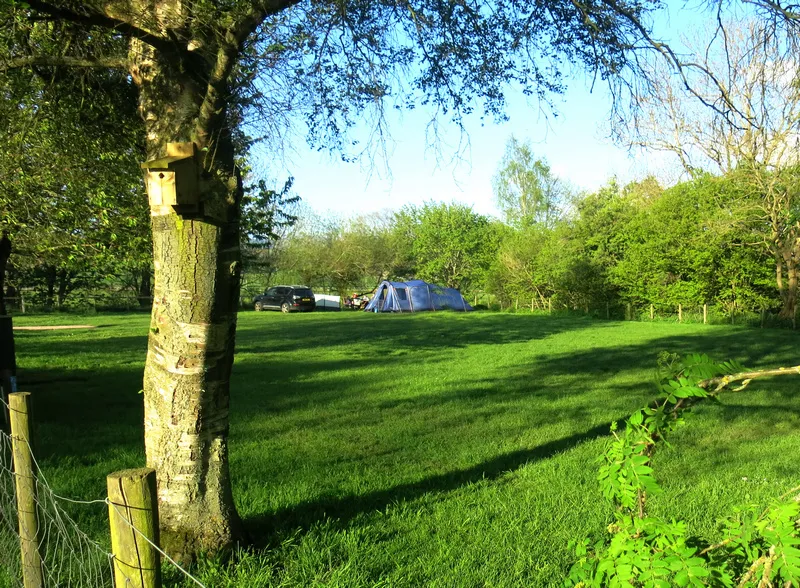 Lazonby Campsite - CamplinQ