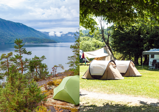 Wild Camping vs Campsite Camping: Key Differences Explained